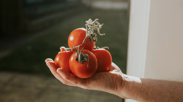 خوراکی های ضد التهاب: لیست کامل - Pub Nurse